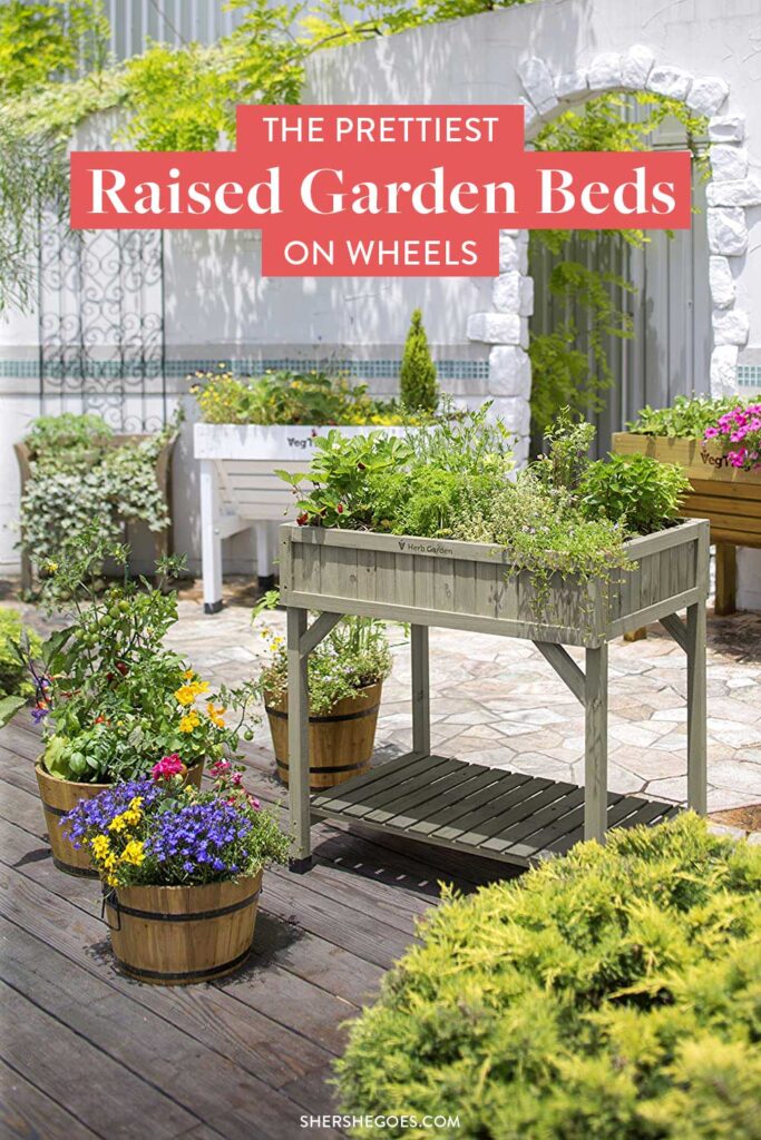 The 7 Best Raised Garden on Wheels (2022)