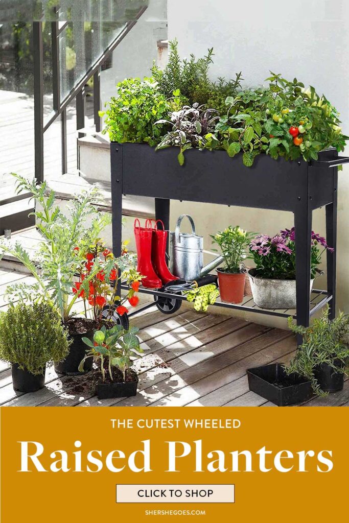 The 7 Best Raised Garden on Wheels (2022)